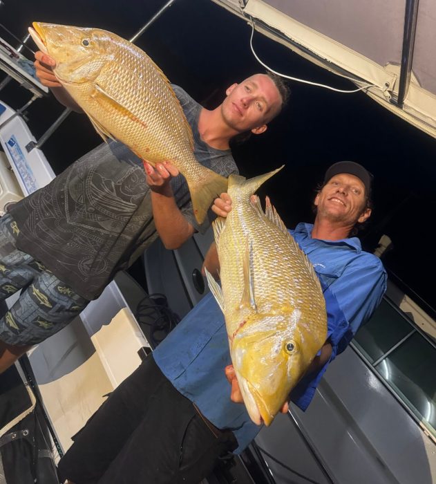 Night Fishing Charter Great Barrier Reef | Phoenix Fishing Charters